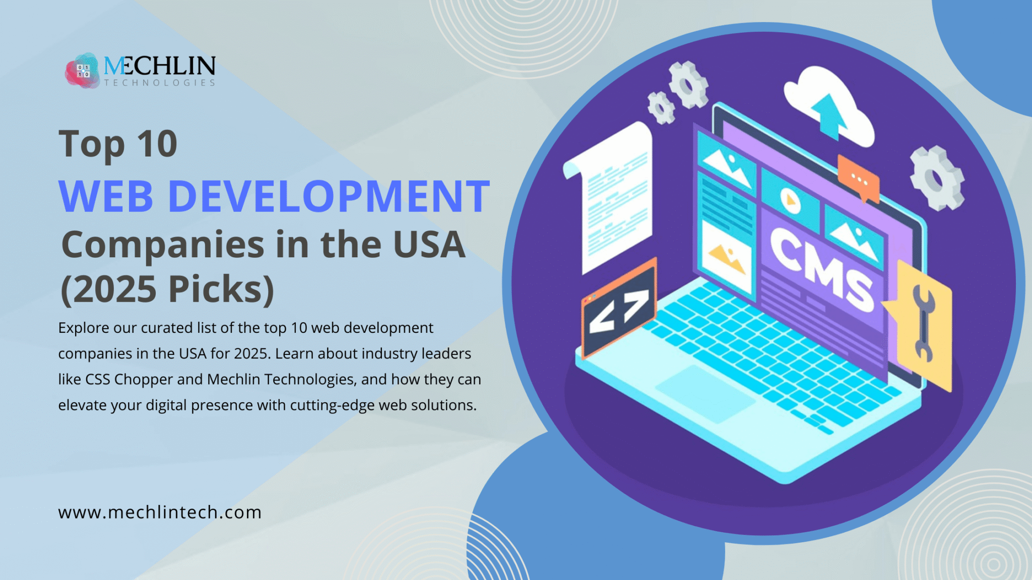 Top Software Development Companies in USA- MechlinTech