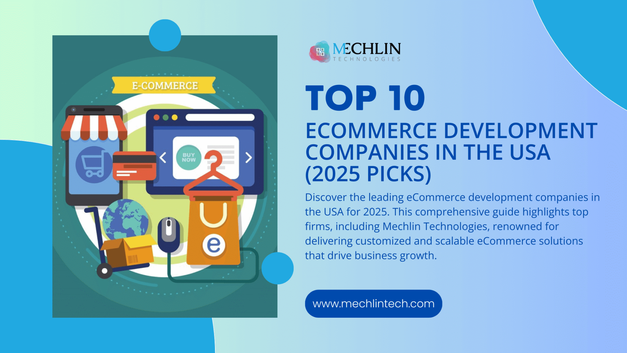 Top Software Development Companies in USA- MechlinTech